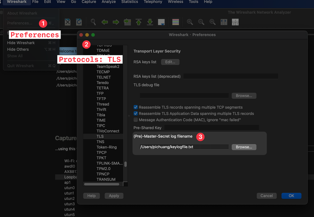 Analyzing TLS encrypted traffic through SSLKEYLOGFILE